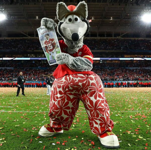 How much do NFL Mascots make per year ? | Latest result 2024