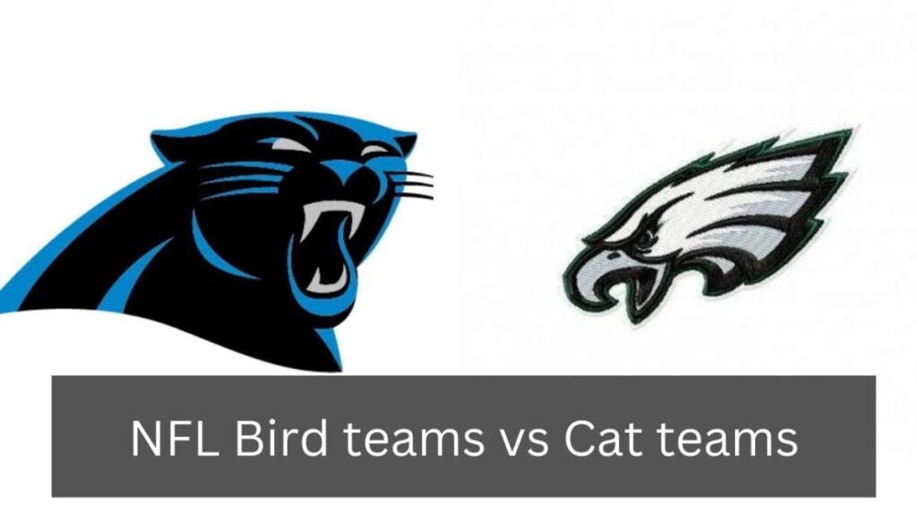 The ultimate showdown of NFL Bird teams vs Cat teams