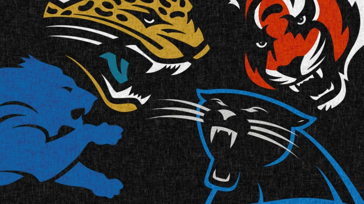 The ultimate showdown of NFL Bird teams vs Cat teams